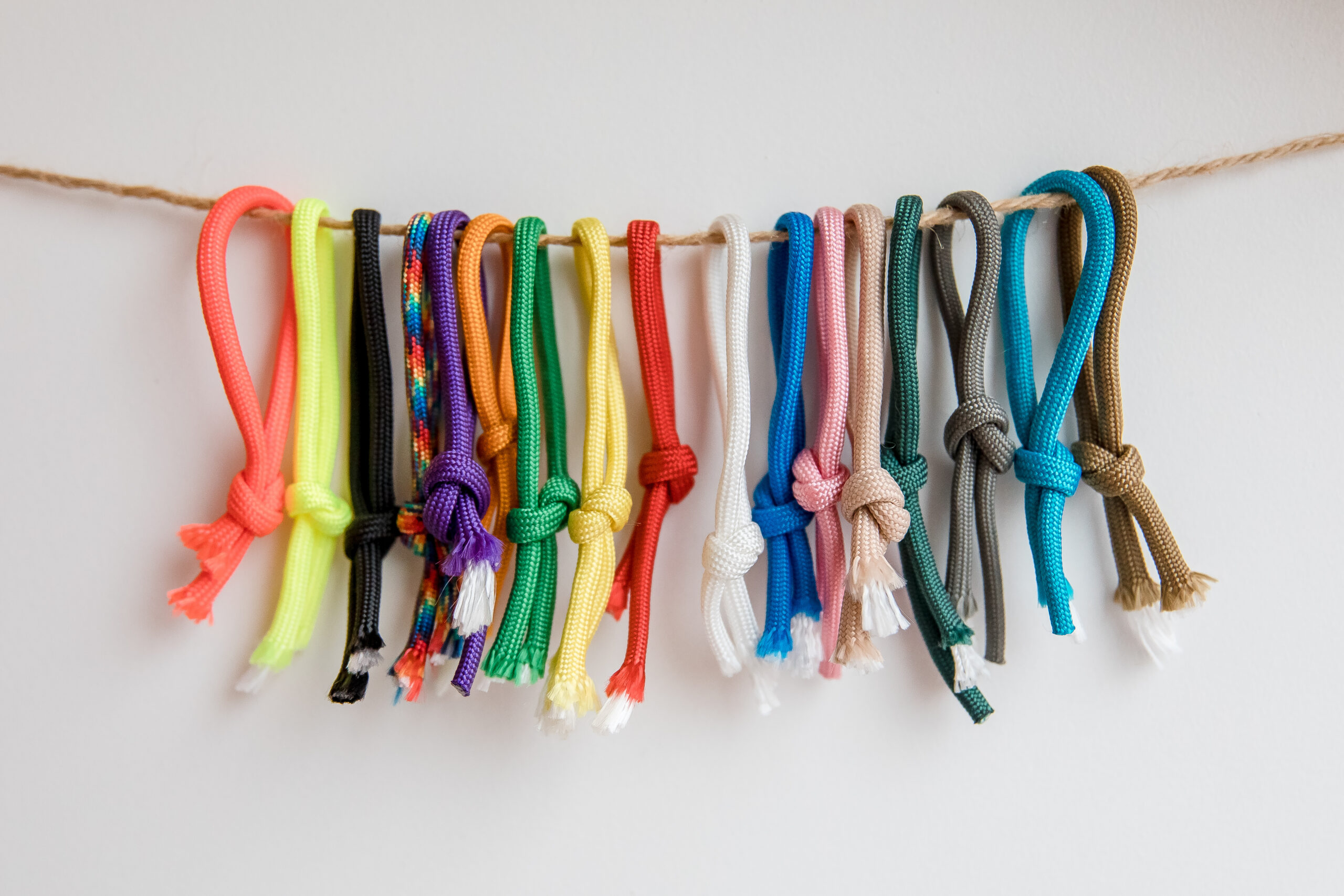Reading Rope - Mosaic Health & Rehab