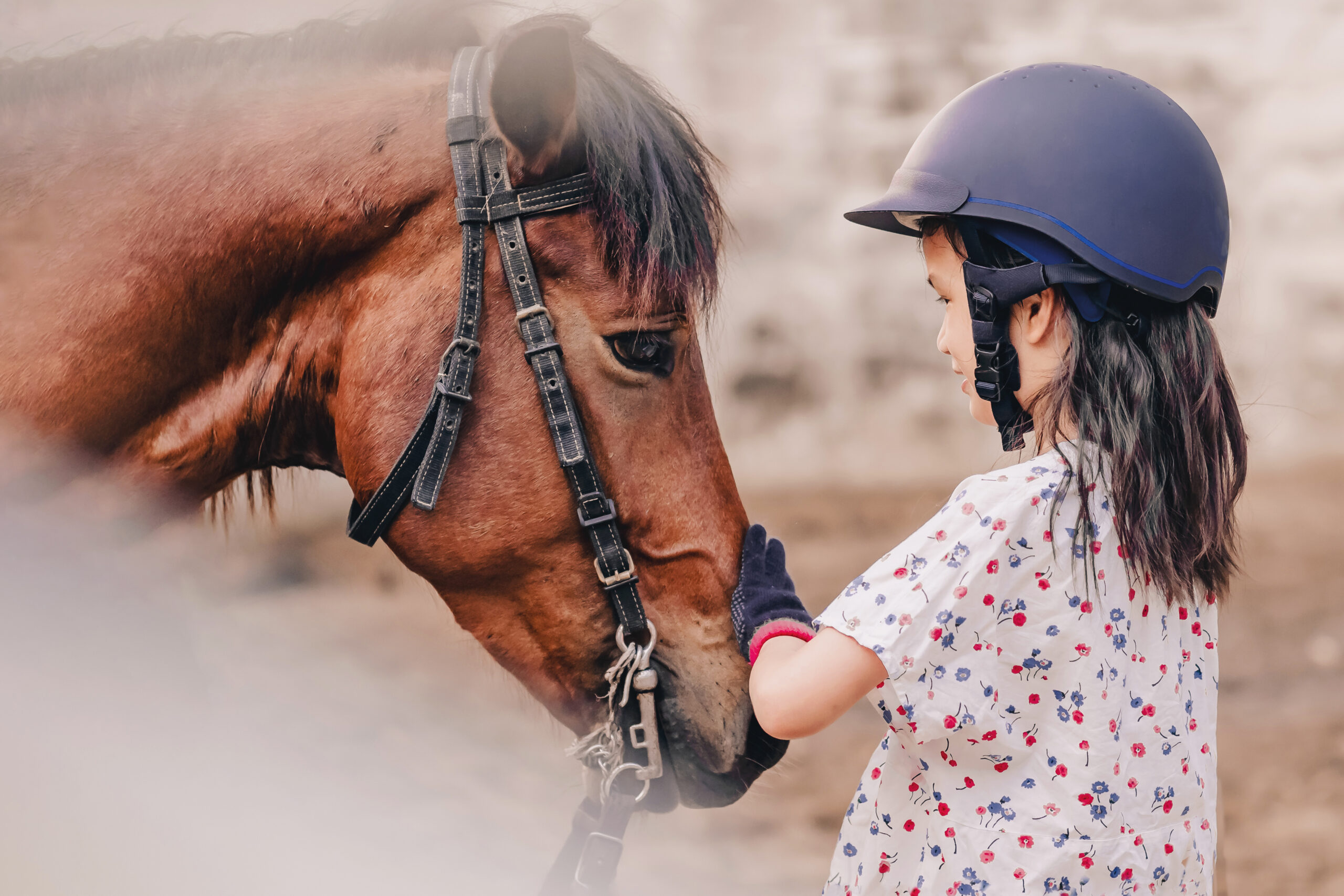 Hippotherapy: How Horses Can Help in Occupational Therapy